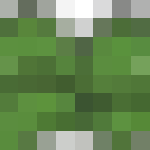 Skin gfggg for Minecraft